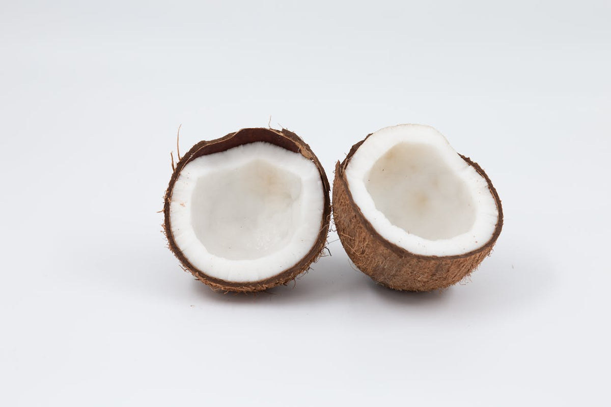Coconut Oil for Dogs: Benefits, Uses & Safety Guide – Black Sheep Organics